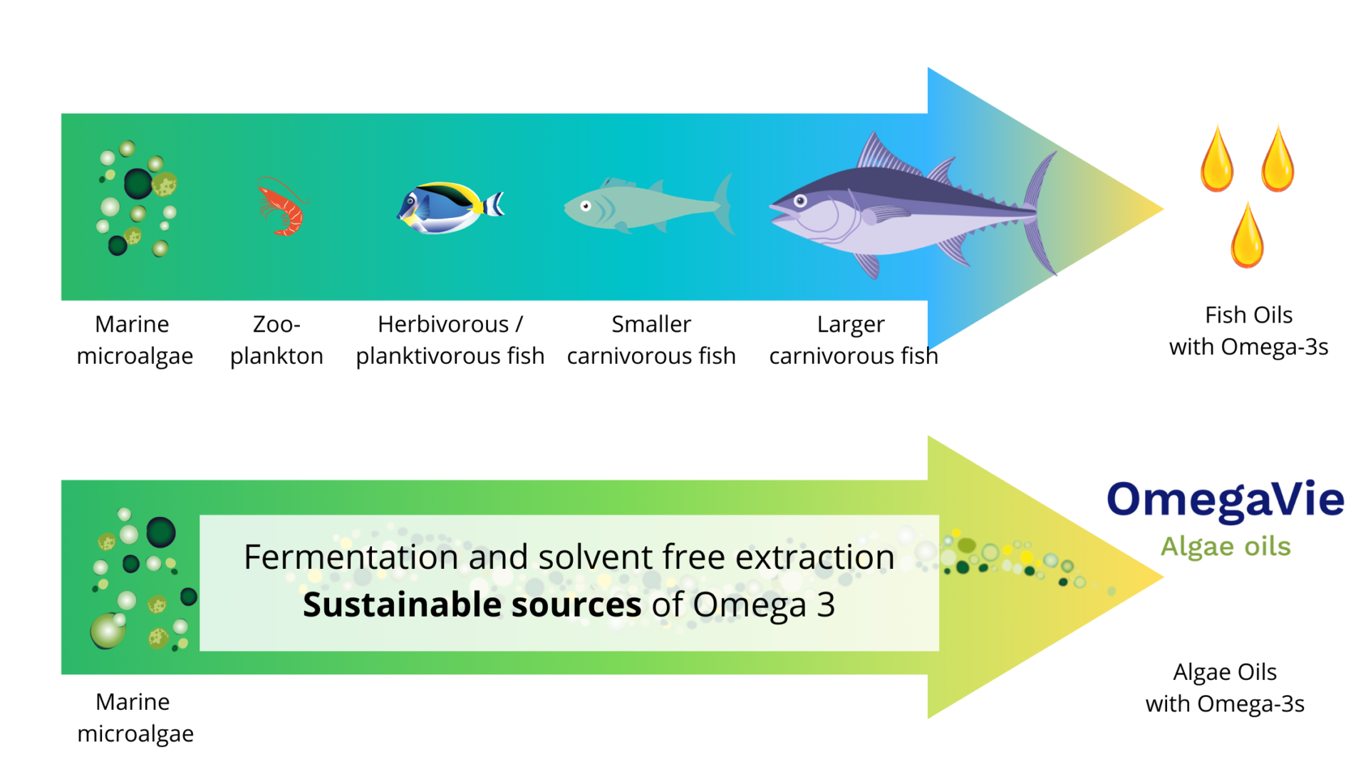 INNOVATION: Plant based EPA & DHA oils - Polaris