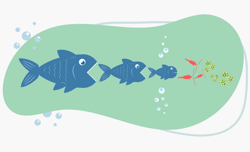 Polaris, the expert in sustainable Omega 3 from microalgae oils - Polaris